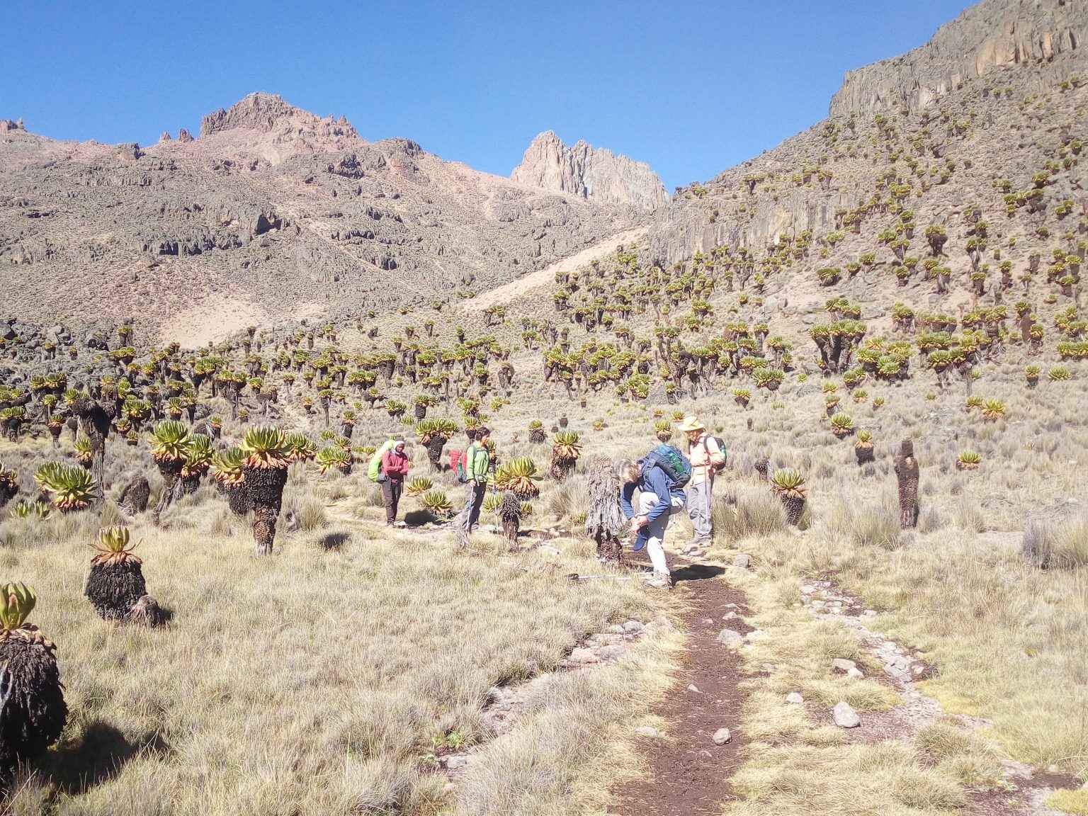 Mount Kenya Climbing: Timau – Chogoria Route - Traverse Afrika
